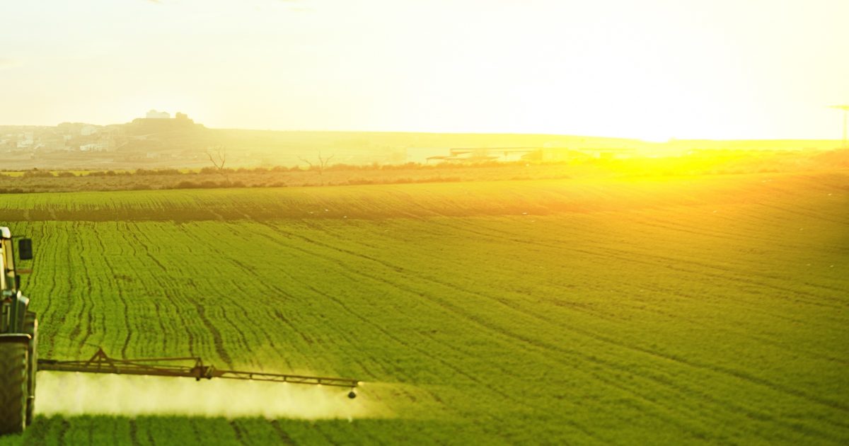 Access to weed killers crucial - TasFarmers