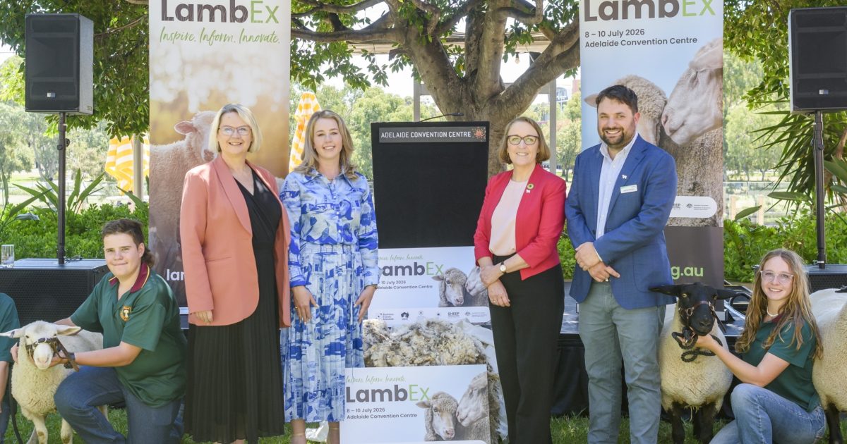 Save the Date details released for LambEx 2026 - TasFarmers